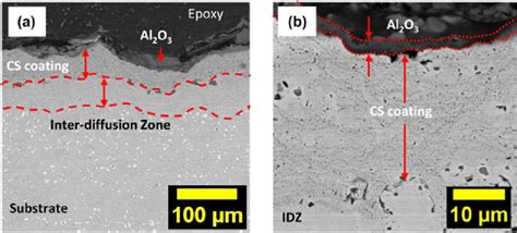 Bse Sem Micrographs Of Cross Sectional Microstructure Of Oxidized