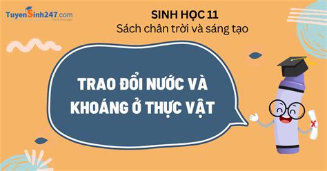 Lý thuyết bài 3 trao đổi nước và khoáng ở thực vật phần 2 sinh 11
