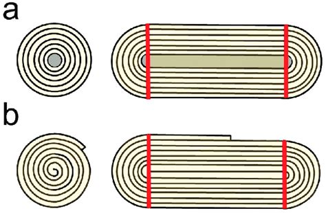 Colour Online Schematic Representations Of Developable Domains Viewed