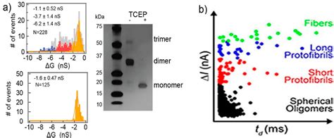 Figure 6 From Application Of Solid State Nanopore In Protein Detection