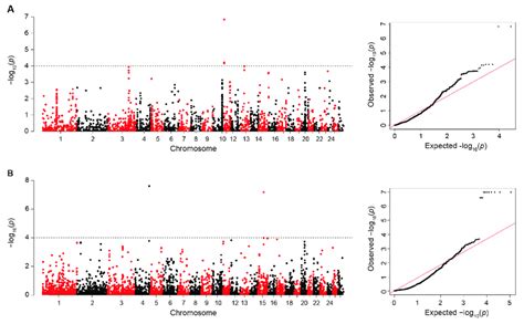 Manhattan Plot Of Gwas Between Probes In Deletedduplicated Cnvs And