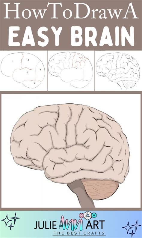 Easy Brain Drawings With Step By Step Guides Julie Ann Art