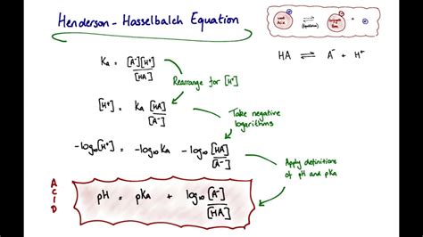 Henderson Hasselbalch Equation How To Derive Henderson Hasselbalch