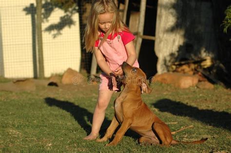 Petite Fille Avec Le Chiot Photo Stock Image Du Mieux