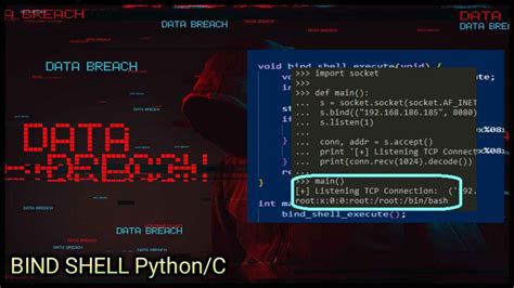Bind Shell Backdoor Tcpip Python Socket And C Program Pentestbox