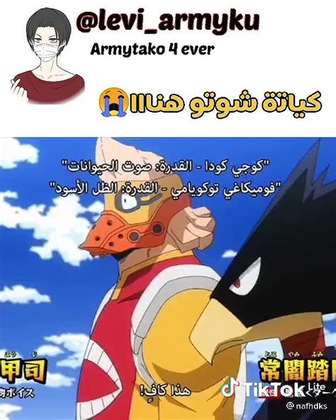 تودوروكي شوتو Youtube