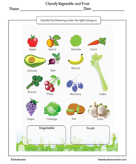 Classify Vegetable And Fruit Science Worksheet Edumonitor Science