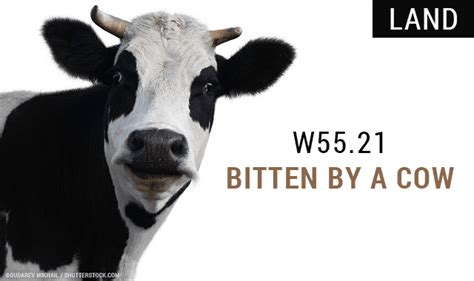 Top 10 Funniest Icd Codes