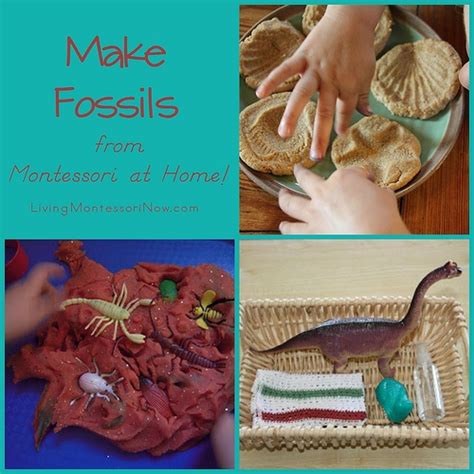 Fossils How To Make Fossils