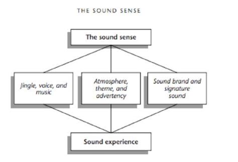 3 Source The Sense Of Smell Conceptual Model Peck And Wiggins 2006