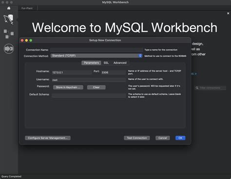Mysql Workbench Rds 연동