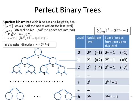 trees part 1 theoretical ppt download