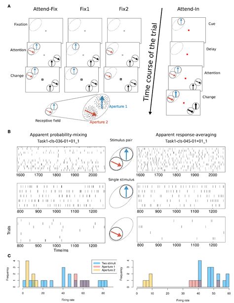 Figure 1 From Neurons In Primate Visual Cortex Alternate Between