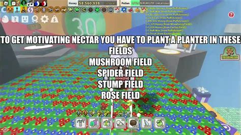 Tips And Tricks For Dapper Bear Quests 6 10 Youtube