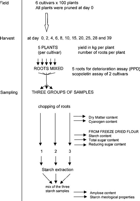 Overview Of The Sampling Protocol Download Scientific Diagram