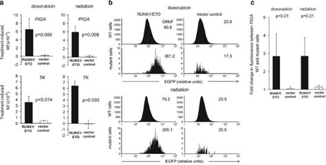 The Leukemia Associated RUNX1 ETO Oncoprotein Confers A Mutator Phenotype Leukemia