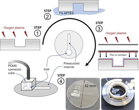 Cell Press Star Protocols