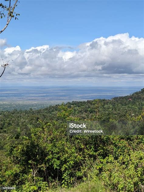 다양한 나무와 초목으로 가득한 울창하고 구불구불한 언덕의 경치 좋은 전망 0명에 대한 스톡 사진 및 기타 이미지 0명 굽이치는 풍경 나무 Istock