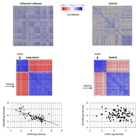 Examples Of Differential Correlation Patterns A An Up Correlated Download Scientific Diagram
