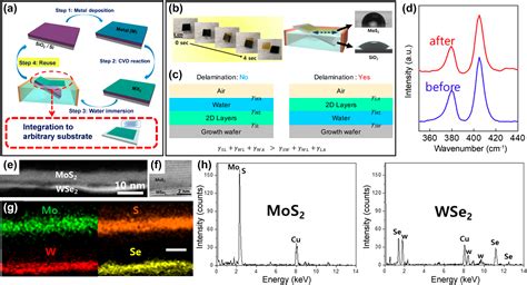 Manufacturing Strategies For Wafer Scale Two Dimensional Transition