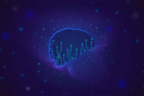 Important Factor In Neural Development Identified