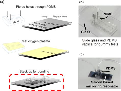 A Schematic Diagram Of Fabrication Of A Silicon Based Label Free Download Scientific Diagram