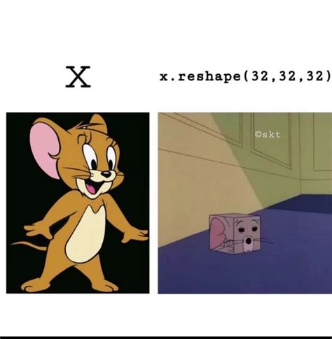 Sneha Vijaykumar On Linkedin Datascience Python Meme Fun