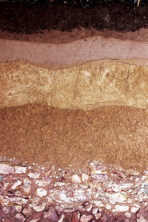 Wdxrf Successful For Complete Soil And Sediment Analysis