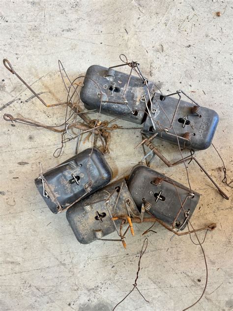 Victor Gopher Traps Sunrise Estate Services Ltd