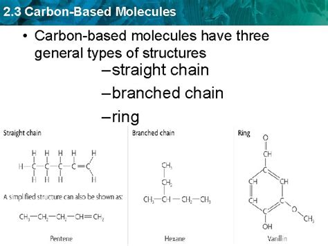 2 3 Carbonbased Molecules Key Concept Carbonbased Molecules