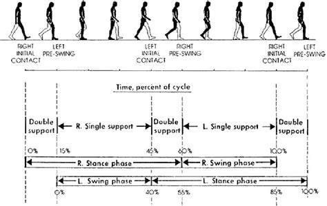 Table 1 From And Using Automatic Motion Analysis Of Gait Further Evidence Of Complex Motor
