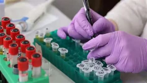 തലച്ചോറിൽ നീർക്കെട്ട് അതികഠിന തലവേദന 5 ദിവസത്തിനിടെ 6 കുട്ടികൾ മരിച്ചു ചാന്ദിപുര വൈറസ്