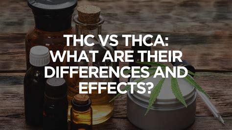 THC Vs THCA What Are Their Differences And Effects