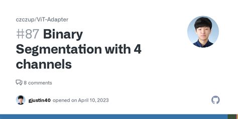Binary Segmentation With Channels Issue Czczup ViT Adapter GitHub