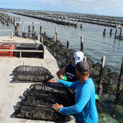 Aquaculture Fishing Operations And Biosecurity Project Skills Impact