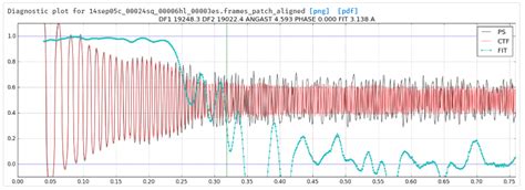 Tutorial Patch Motion And Patch Ctf Cryosparc Guide
