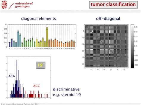 Prototype Based Learning And Adaptive Distances For Classification PPSX
