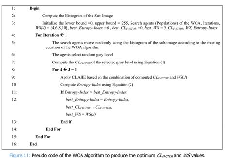 Block Diagram Of The Woa Algorithm To Produce The Optimum Clfactor And