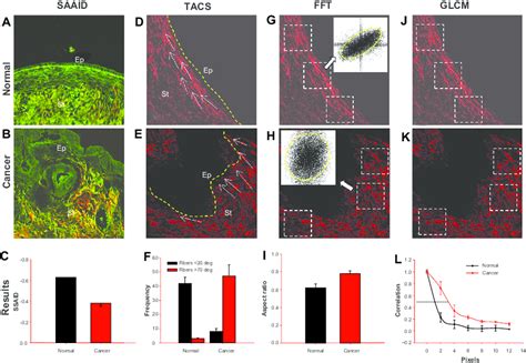 Depicting Several Applications Of Different Methods To Analyze Nlo