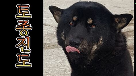 봄맞이 대청소 Youtube