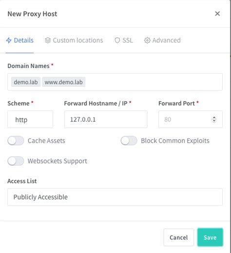 Host A Static Site On NGINX Proxy Manager NPM DimensionQuest Burke S Blog