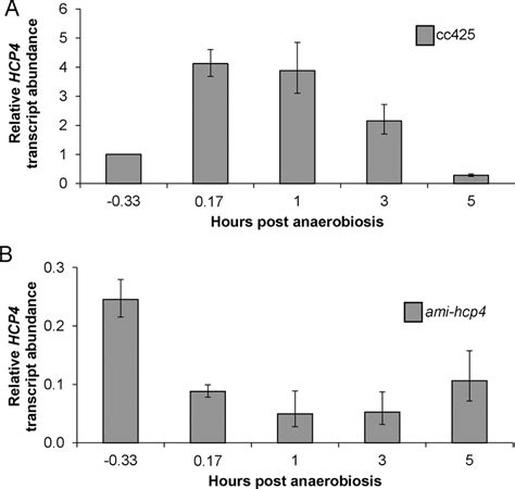 Analysis of HCP4 transcripts under experimental conditions. (A ...