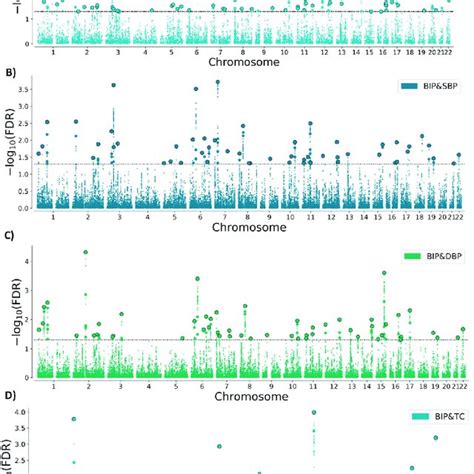 Common Genetic Variants Jointly Associated With Bipolar Disorder And