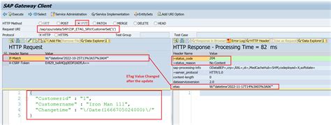 Building OData Services Concurrency Handling Using ETag With Timestamp Field
