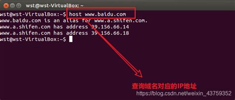 Linux常用命令（五）——hostname、ping、host命令linux修改主机名后用主机名ping Csdn博客