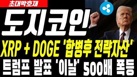 도지코인 전망 도지 리플 합병후 전략자산화 Xrp 리플 리플코인 리플전망 도지코인 도지전망 Youtube
