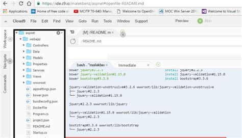 How To Create Core Website On Cloud9
