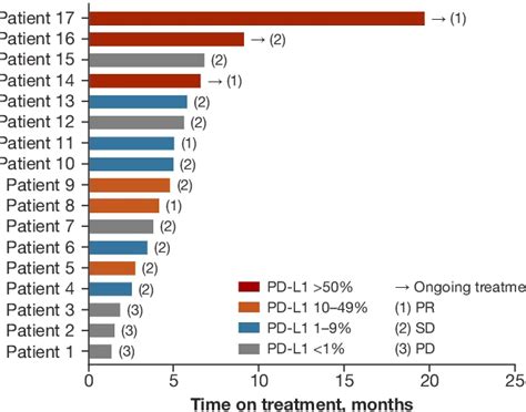 Swimmer Plot Of Treatment Outcomes In Patients Evaluated For Pd L1 Download Scientific Diagram