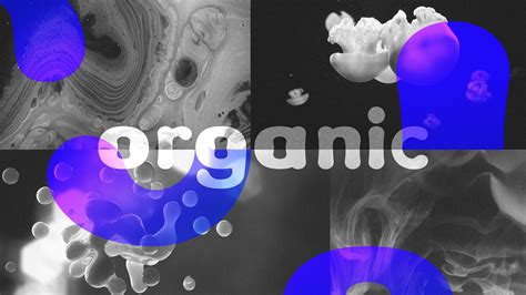 An Experimental Variable Font For Brave Designers On Behance