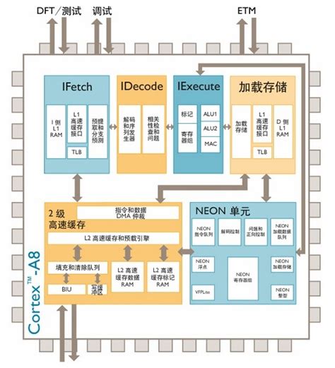 Arm内核全解析，从arm7arm9到cortex A7a8a9a12a15到cortex A53a57arm A7兼容a8
